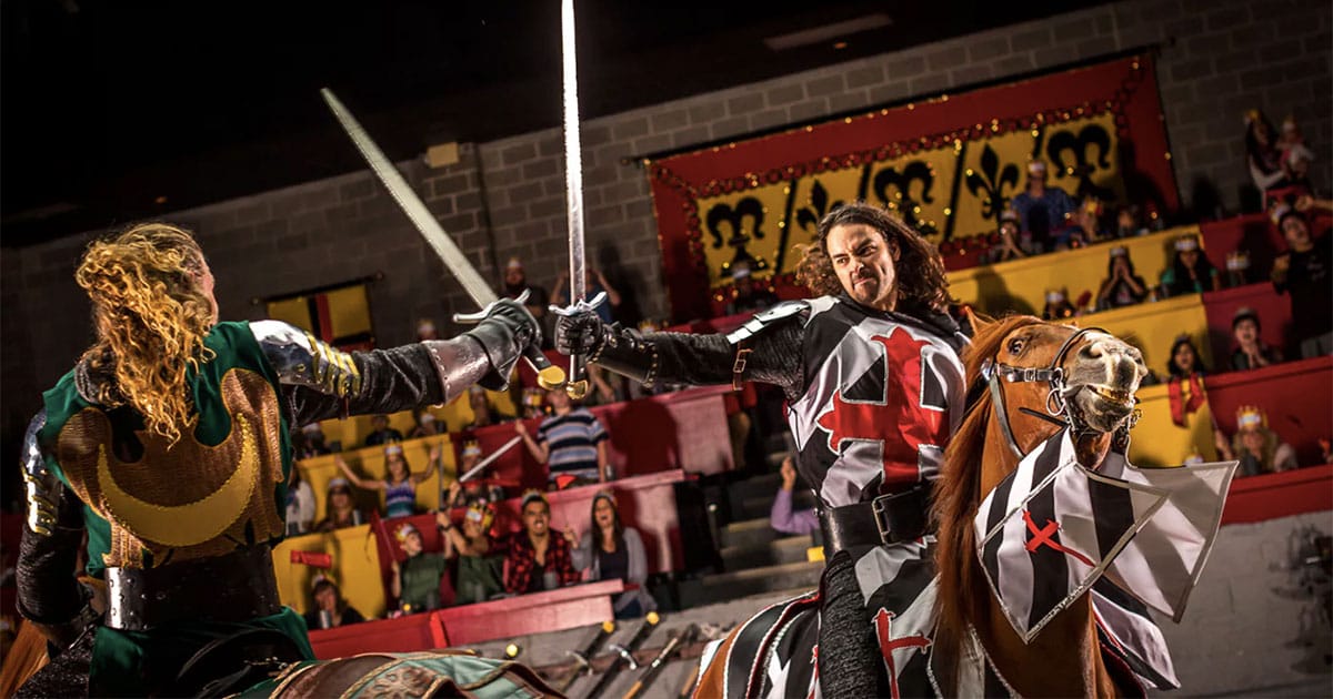 A Wheelchair Accessible 'Knight' at the Medieval Times Castle